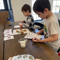 Life Cycle of a Pumpkin Plant Pack - Etsy Canada