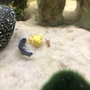 Tiny Pufferfish Figurine - Soft Plastic Puffer for Diorama, Aquarium ...