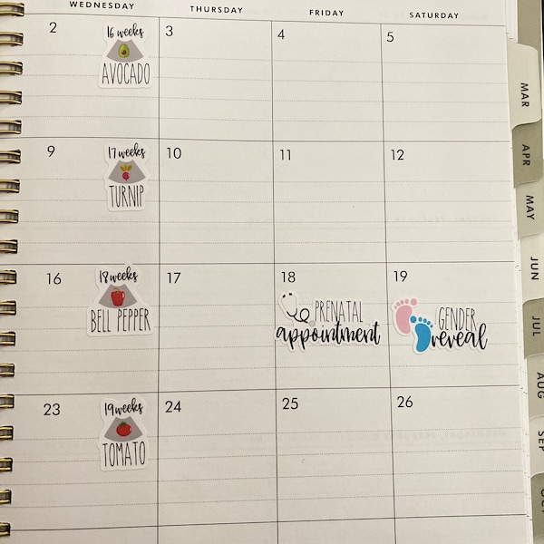 Pregnancy Tracking Sticker Set / Pregnancy Milestone Stickers ...