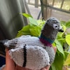 Pigeon Knit Kit - All You Need to Knit a Cute Pigeon - Bill the Pigeon ...