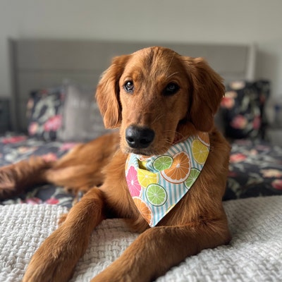 Scrunchie Dog Bandana Pattern Dog Bandana Pattern With Elastic ...