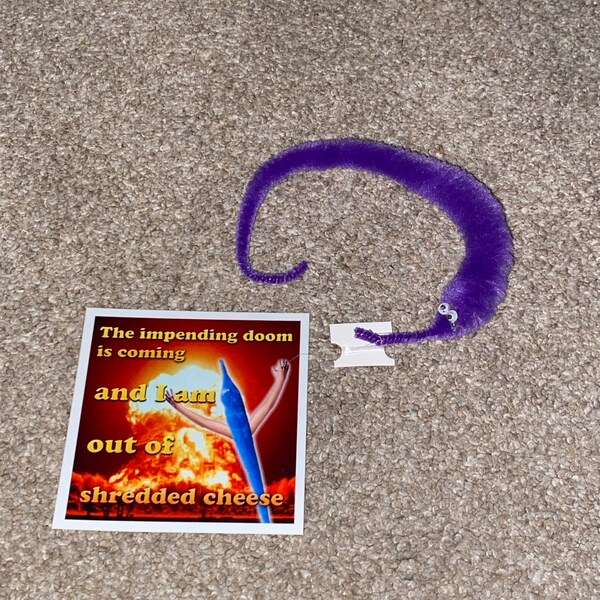 Worm on a String Meme Sticker || Funny Meme, Squirmle, Fuzzy Worm - Etsy