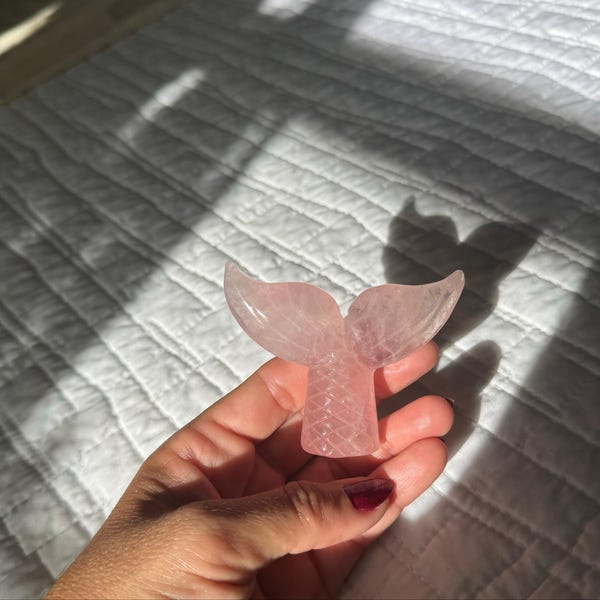 Red Que Sera Goose Crystal | Llanite Stone Carved and Polished Duck ...