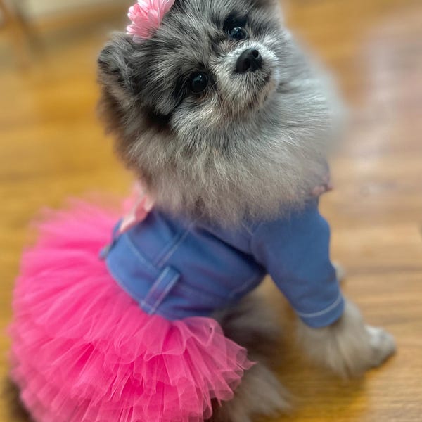 Dog Jumpsuit, Cute Yorkie Girl Outfit, Designer Small Dog Clothes ...