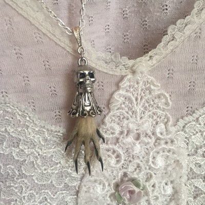 Gothic Taxidermy Ground Squirrel Paw - Etsy