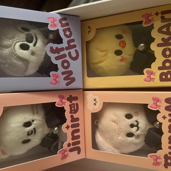 Box Only. Stray Kids SKZOO Box 10cm Plush Fanmade BOX [BOX Only] - Etsy