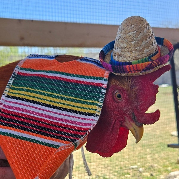 Scarecrow Costume for Chickens - Etsy