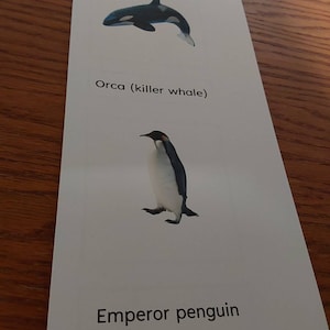 Fruits and Vegetables Inside Out Matching Montessori Cards - Etsy