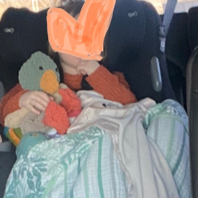 Mallard Duck Snuggler Lovey Duck Nursery Decor Baby Snuggle - Etsy