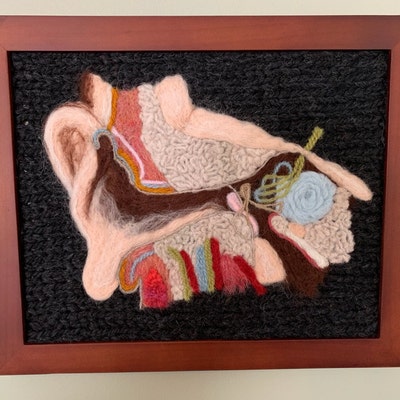 Knitted Dissected Bat Specimen - Etsy