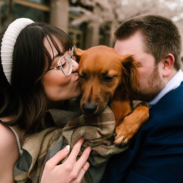 Candy Jelly Hair Claw Clips Large LX, Butterfly Candy Claw Clips ...