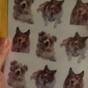 Poop Sticker Sheet - Etsy