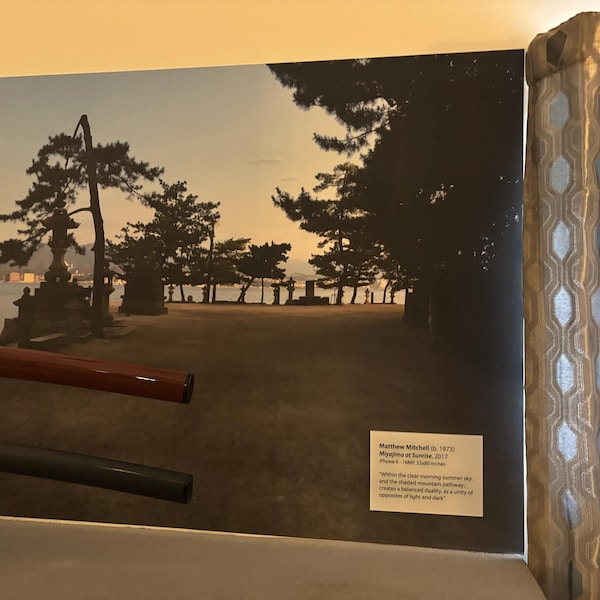 Paw Shaped QR Code Sign With Four QR Codes - Etsy