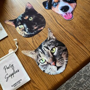Face on A Stick Big Head Cutouts Pet Dog Cat Birthday Party Decor Fat ...