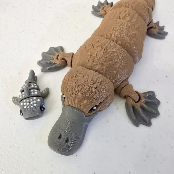 Platypus Large Articulated 3D Printed Figure - Posable Desktop ...