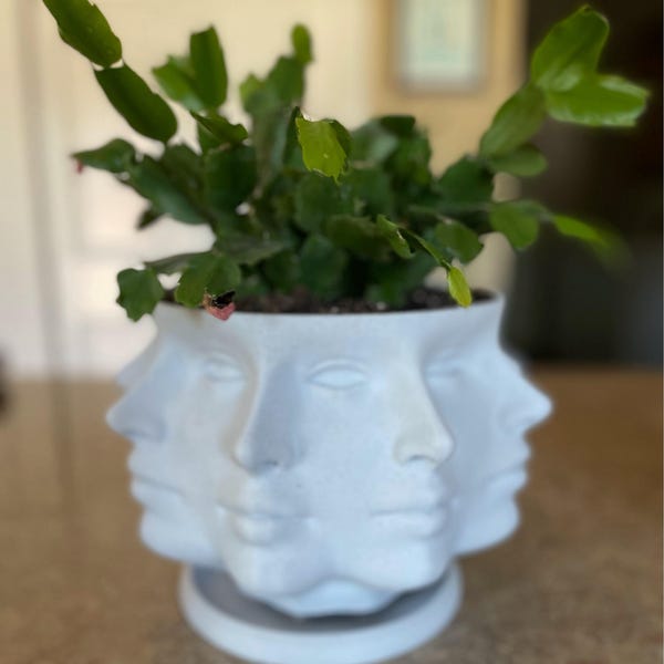 The Polyface Planter - Etsy UK