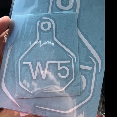 Cow Head Angus Head Silhouette SVG Files, Stencil, Shirt Vector, Shirt ...