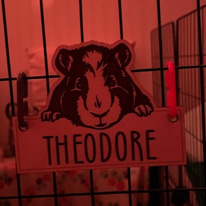 Guinea Pig Cage Tag, Personalized, Custom, Engraved Wood, Pet Guinea ...