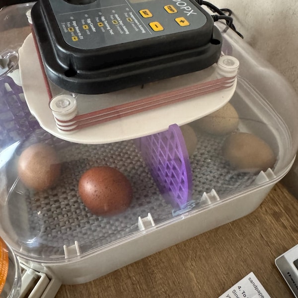 Maticoopx 20 Egg Complete Coverage Divider Attachment - Etsy