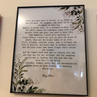 Mary Oliver Poem , Don't Hesitate , Motivational Quote , Mary Oliver ...