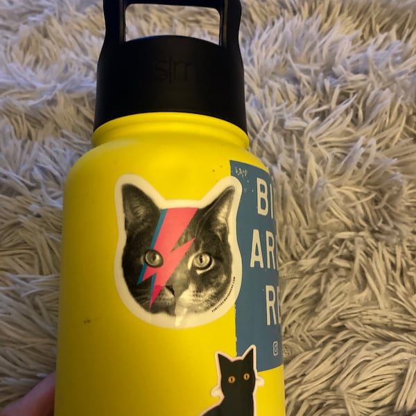 F1 Racing Cat Sticker - Ferrari Helmet Cat - Metallic Charles Leclerc ...