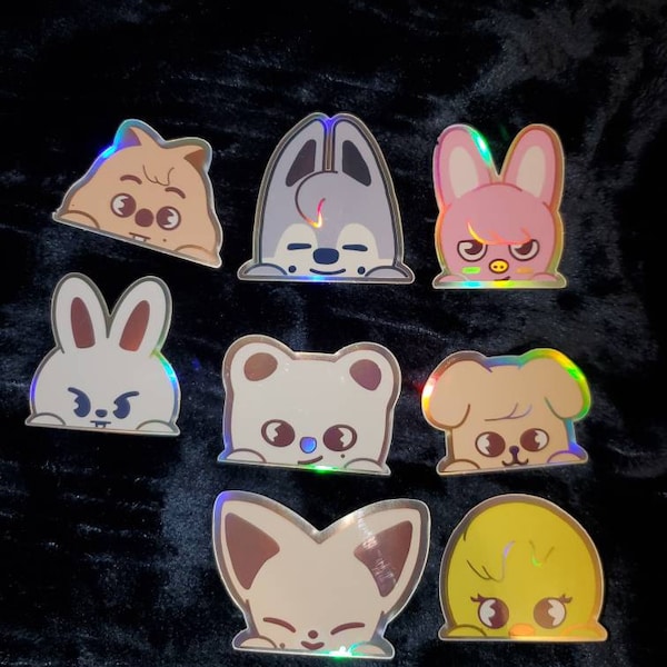 Stray Kids SKZOO Logo Hoodie & Sweatshirt | Stray Kids Shirt and ...