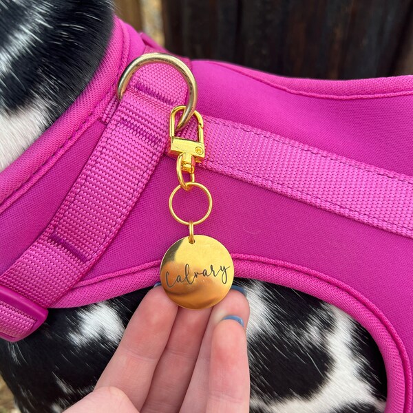 Microchip Dog Tag, Custom Dog Tag, Microchipped, Pet Tag, Dog ID Tag ...