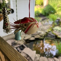 Fish Net Remnants-random Fish Net Pieces-fish Net Cut Pieces-fish Net ...