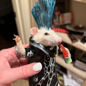 Taxidermy Opera Rat Shakespeare Taxidermy Rat Skeleton Cabinet of ...