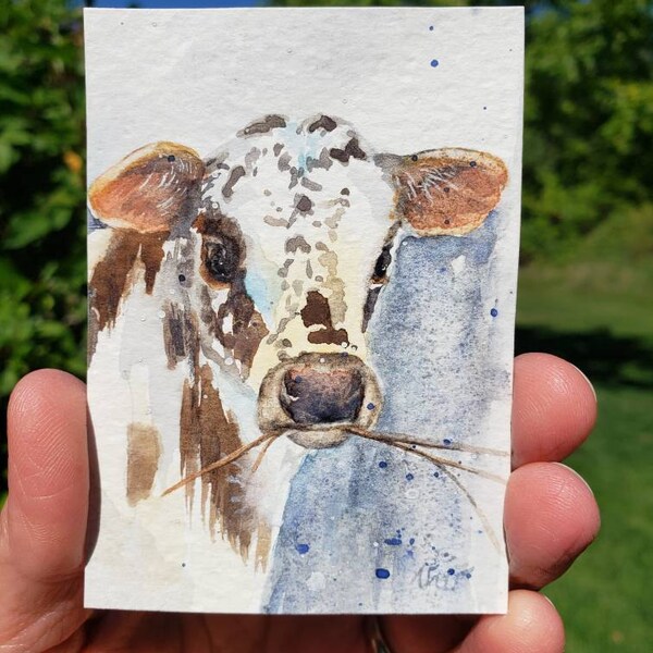 Fieldfare Thrush Watercolor Painting, Original Artwork, 5 X 7 Inch Bird ...