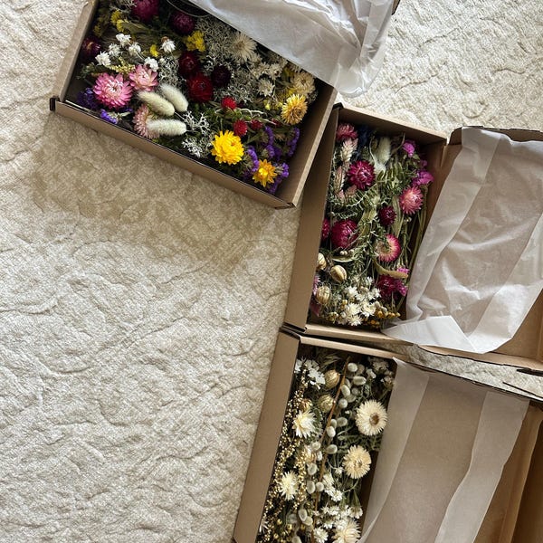 Natural Dried Flowers Mix Craft Boxes, Preserved Dry Botanical Supplies ...