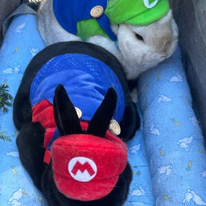 Colonial Tricorn Pirate Hat for Pet Bunny Rabbit and Other Small Pets ...