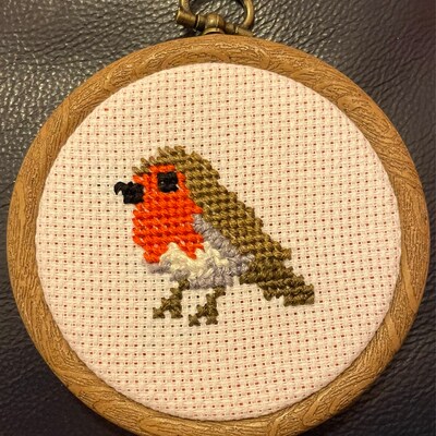 Robin Cross Stitch Kit Beginners Counted Cross Stitch Mini Kit DIY ...