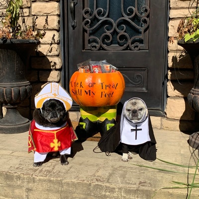 The Nun Dog Costume, Custom Order Request for DUCKY, Special Order the ...