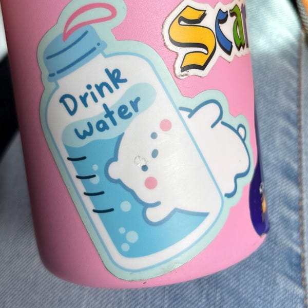 Software Engineer Vinyl Sticker Computer Science Sticker Laptop ...