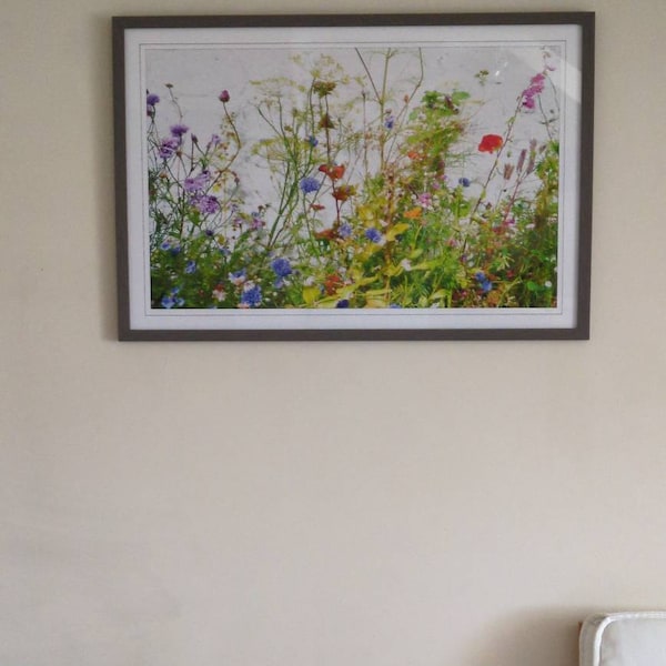 Wild Flowers, Bright Summer Colours. Framed Picture With Choice of ...