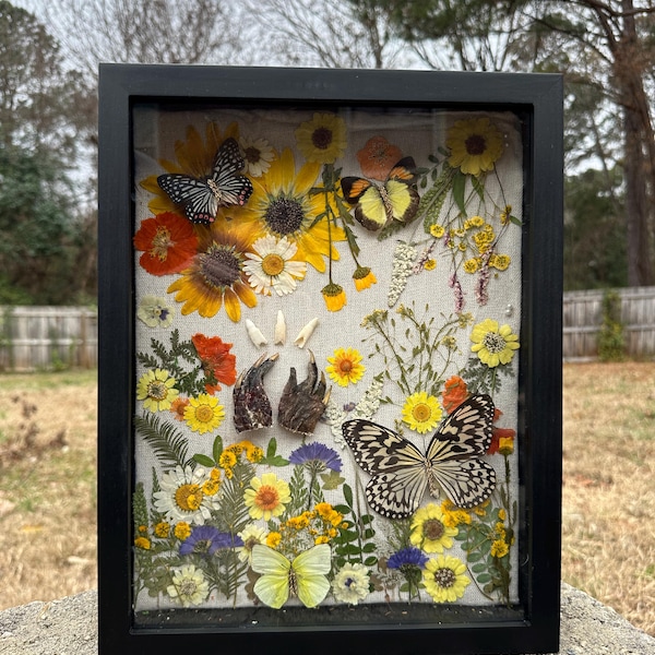 10 PC Round Natural Capiz Sea Shells, 3 Inch - Etsy