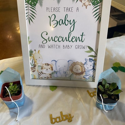 Jungle Baby Favors, 8x10 Sign and Tags, Watch Baby Grow Succulent ...