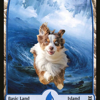 Personalized Pet Magic the Gathering Foil Land - Etsy