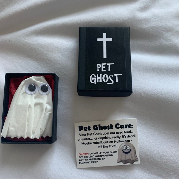 Pet Ghost - Funny Novelty Gift Ideas - Ideal for Birthday Presents ...