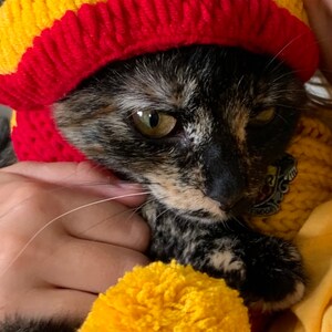 Pink Knitted Yarn Pig Hat for Cat or Small Animal new Design - Etsy