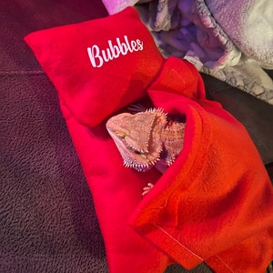 Bearded Dragon Candy Corn Costume Sweater, Halloween Lizard Sweater ...