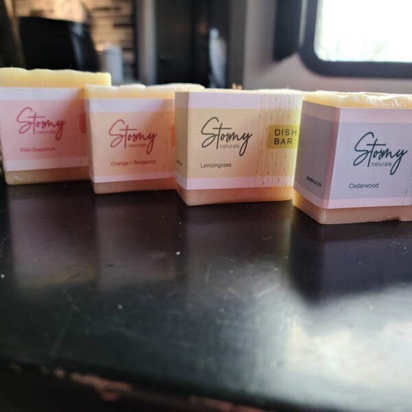 Pure Clean Dish Bar - Etsy