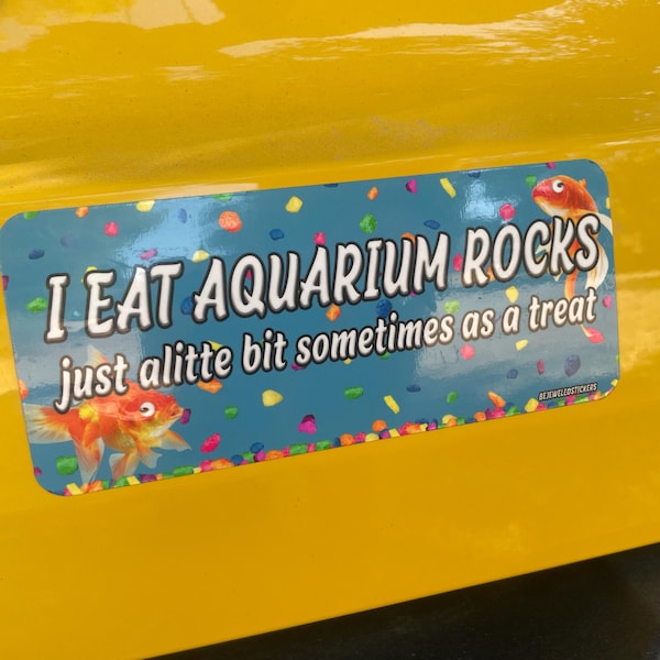 I Eat Aquarium Rocks, Just A Little Bit Sometimes as A Treat | Funny ...