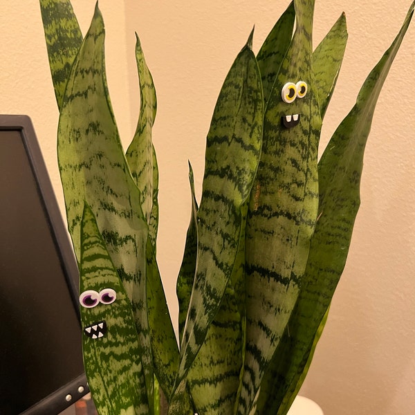 Set of 3 Plant MONSTER Magnets! - Etsy