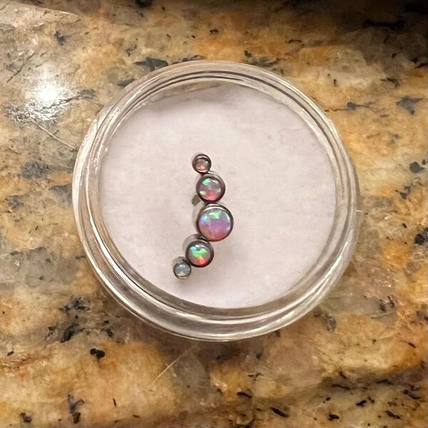 Titanium Threadless With Fixed Disk Floating Navel Bar | Floating ...