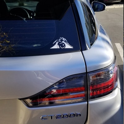 Grumpy Decal Grumpy Dwarf Car Decal Laptop Decal - Etsy