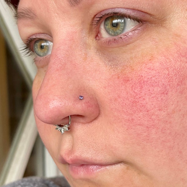 316 Stainless Steel Labret Style Nose Ring Monroe Stud Threadless Push ...