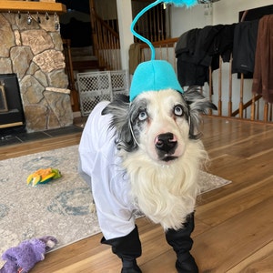 Dog Doctor Lab Coat Costume Doctor Lab Coat Dog Costume Pet - Etsy