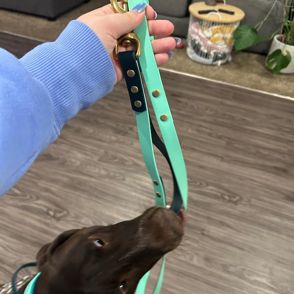 The Vera Bling Biothane® Collar | Beta Biothane® Collar | Gemstone ...